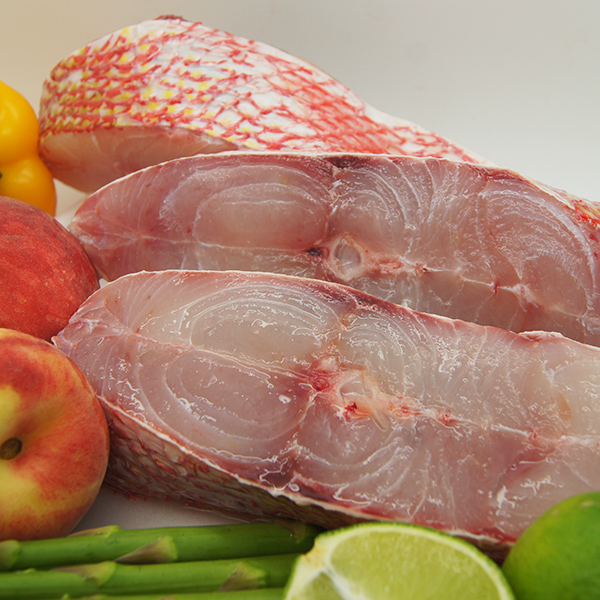Snapper Steaks Fresh Wild Caught Queensland - Aussie Seafood House
