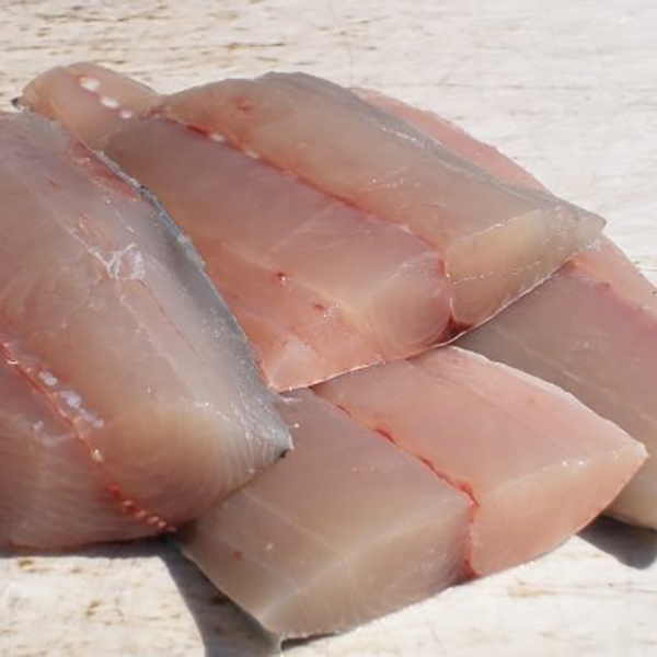 Mackerel Fillets .. Fresh Local - Aussie Seafood House