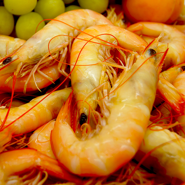 Fresh Wild Caught Queensland Prawn's & Crab's Archives - Aussie Seafood ...