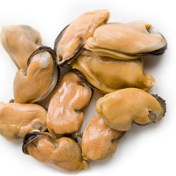 Mussel Meat NZ's Best - Aussie Seafood House